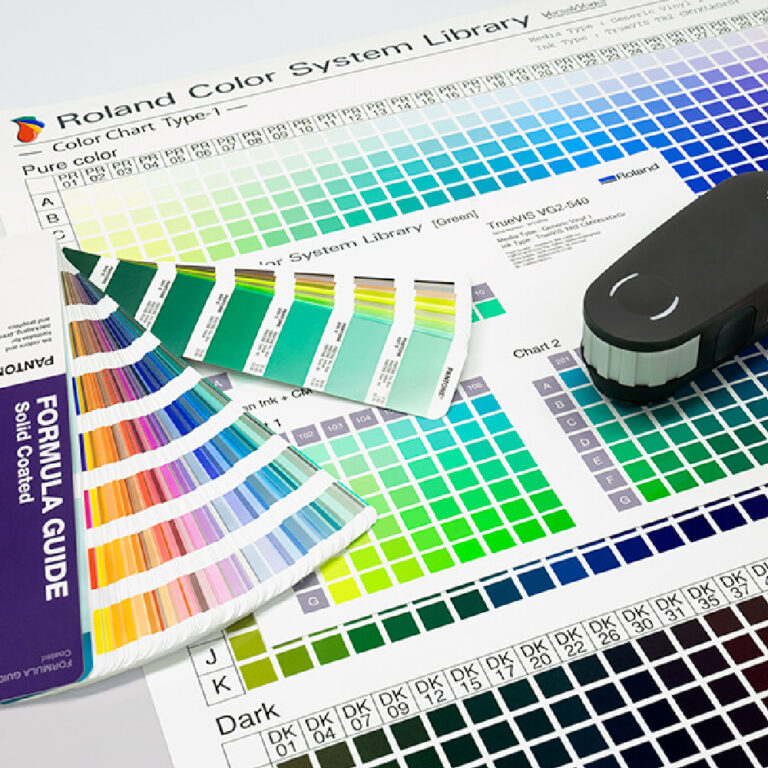 Roland Versa Works RIP Software - Amaya Sales UK